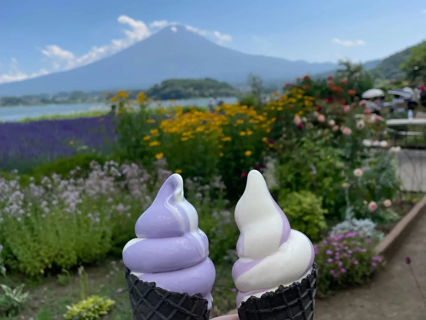 社内コミュニケーションの強化！職種混合チームで出かけてみた | 株式会社LYZON