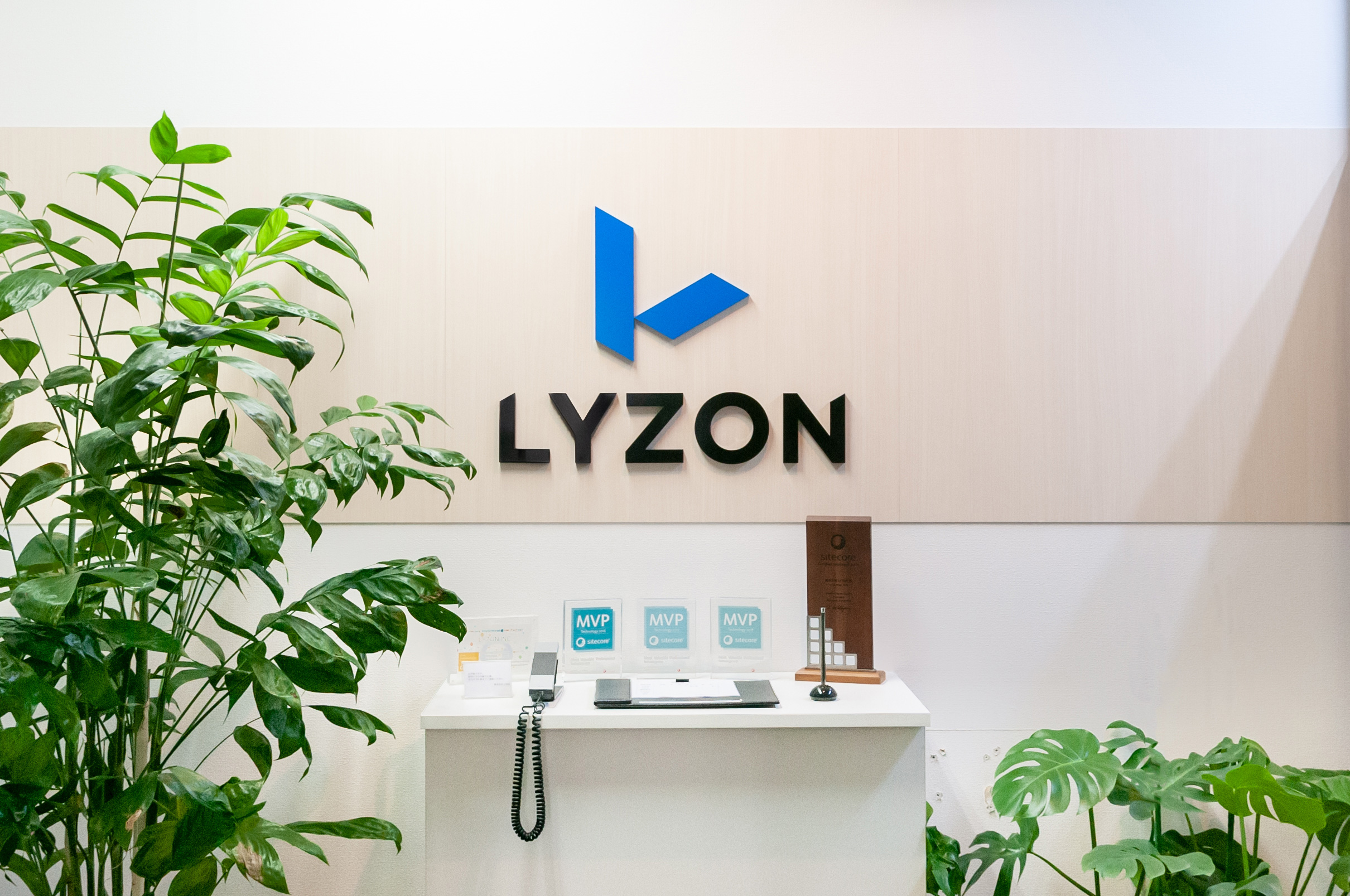 Company | 株式会社LYZON